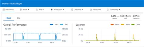 Snapshot Performance Of An Oracle Database On The Powerflex Mg Layout