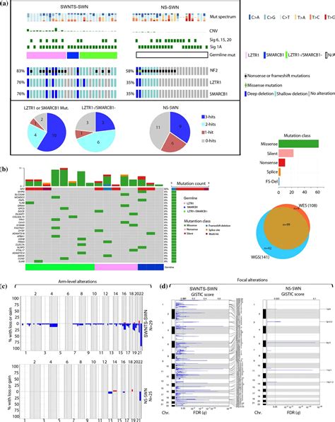 Mutation Spectrum General Posit Community