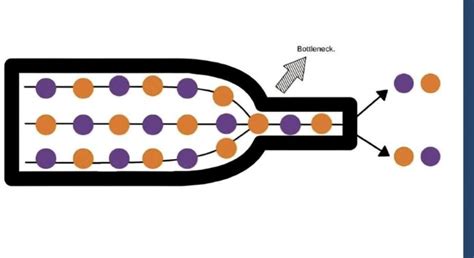 Bottleneck Analysis Ahmed El Sayed El Sharkawy