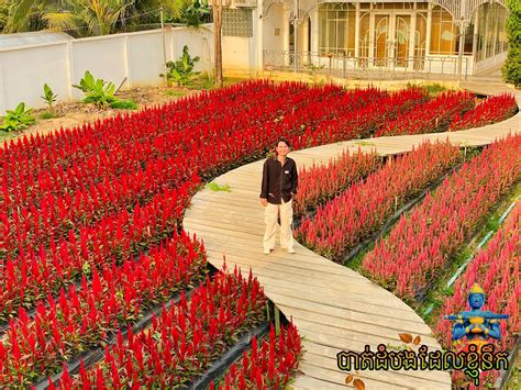 បាត់ដំបងដែលខ្ញុំនឹក បាត់ដំបងដែលខ្ញុំនឹក Battambong