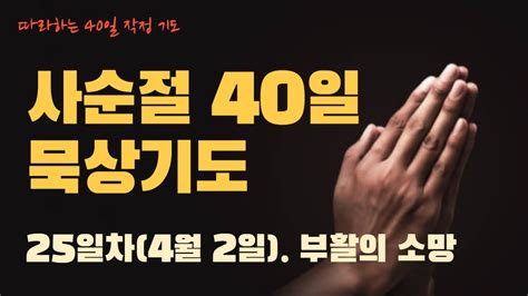 사순절 기도문 사순절 40일 따라하는 기도 낭독 작정기도 묵상기도 참회기도 하루 마무리 기도 자기전 기도 아침 시작기도 기도문 복사