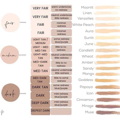 Makeup Color Matching Chart