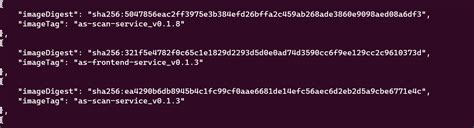 Amazon Web Services How Can I Get The Uri Of My Ecr Image Using Aws
