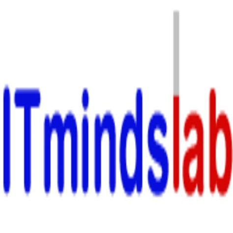 Boost Your Business Dominate The Digital World With It Mindslab U