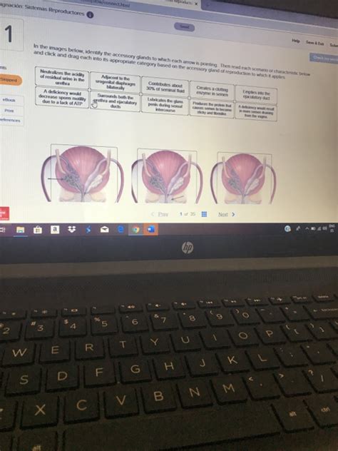 Solved Drag Each Label Into The Proper Position In Order To Chegg