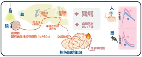 2023年度中国科学十大进展发布