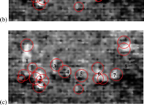 Figure 2 From Object Detection At Different Resolution In Archaeological Side Scan Sonar Images