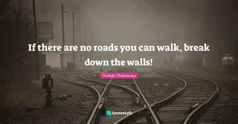 If There Are No Roads You Can Walk Break Down The Walls Quote By
