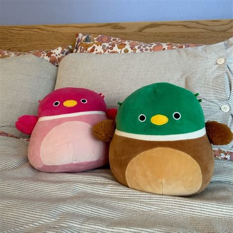 Squishmallows Toys Mini Squishmallows Duck Duo Poshmark