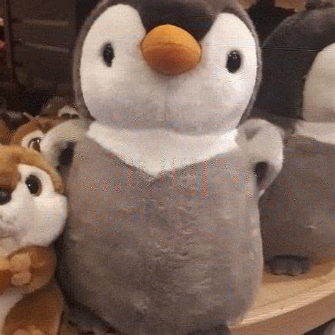 1 프론트엔드와 백엔드 차이 백엔드 개발자가 되고 싶은 이유 Do의 백엔드 개발자 일기 1 프론트엔드와 백엔드 차이 백엔드 개발자가 되고 싶은 이유 Do의 백엔드 개발자 일기