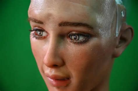 La Jornada El Libro Sex Robot Plantea Inquietudes Bio Ticas