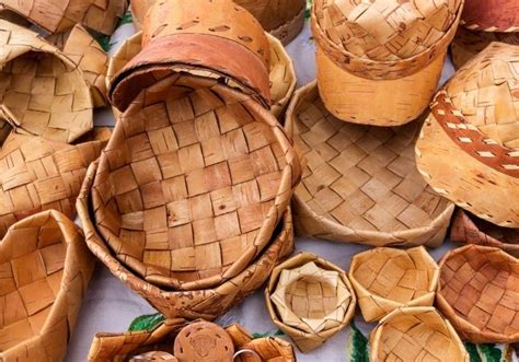 How To Use Tree Bark For Survival Survival Life How To Use Tree Bark For Survival Survival Life