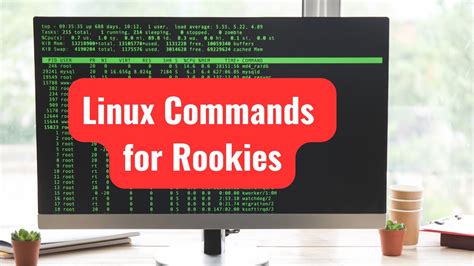 Linux Commands For Absolute Beginnersnovice Youtube