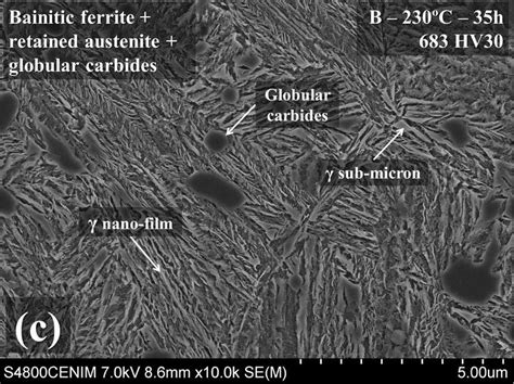 Scanning Electron Micrographs Of Example Microstructures As Obtained