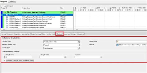 How To Import Bulk Activities And Links With Excel In Primavera