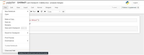 Jupyter Notebook ile Örnek Uygulama Bilişim Programlama