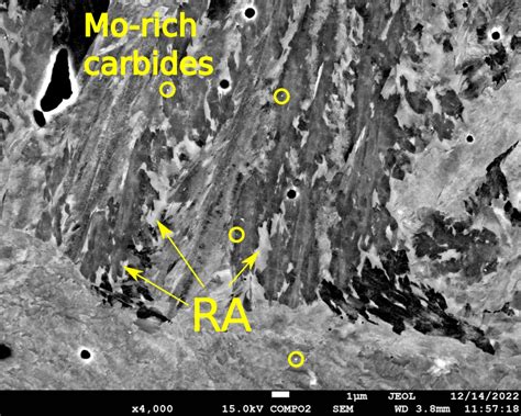Sem Bse Micrograph Showing Detail Of The Retained Austenite Present In