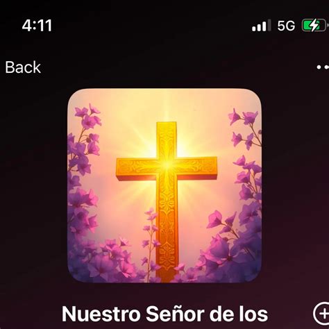 Nuestro Señor De Los Milagros By Lilian Garcia Listen On Audiomack