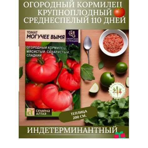 О вкусовых и вкусных томатах | Искусство садоводства | Дзен