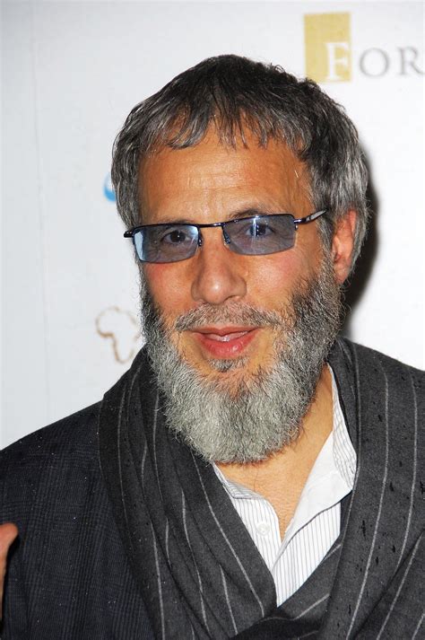 Yusuf Islam Wallpaper Wallpapersafari