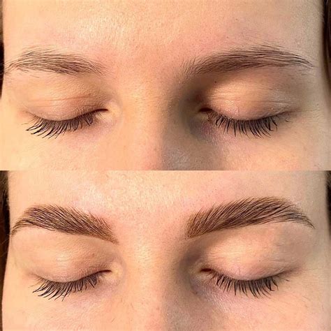 Henna Brows The Ultimate Guide Through Natural Brow Tinting