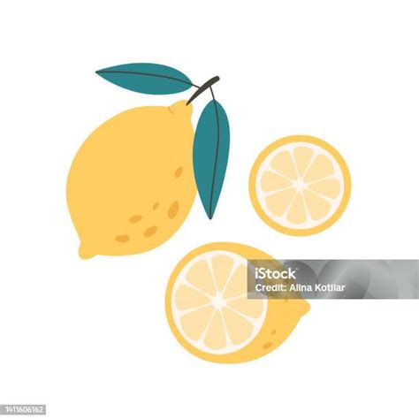 레몬 조각과 신선한 레몬 감귤류 과일 건강 식품 평면 스타일의 벡터 일러스트 레이 션 감귤류 과일에 대한 스톡 벡터 아트 및 기타 이미지 감귤류 과일 건강한 식생활