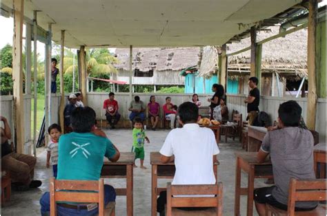 New Data Driven Map Reveals Extensive Peatlands In Amazon Basin Snn