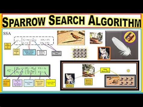 Sparrow Search Algorithm Step By Step With Example XRay Pixy