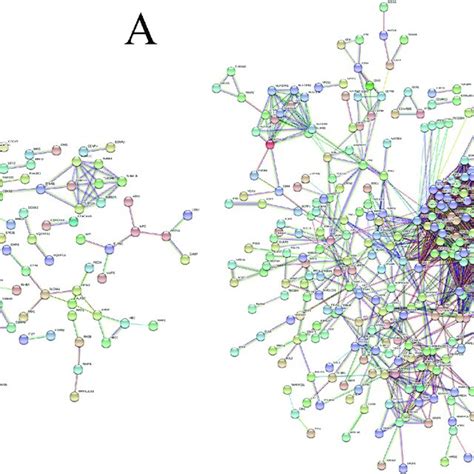 String Analysis For Proteins Coded By Genes Found A Enriched In The