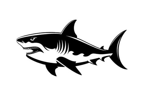 Great White Shark Silhouette Graphic By T Shirt Biz · Creative Fabrica