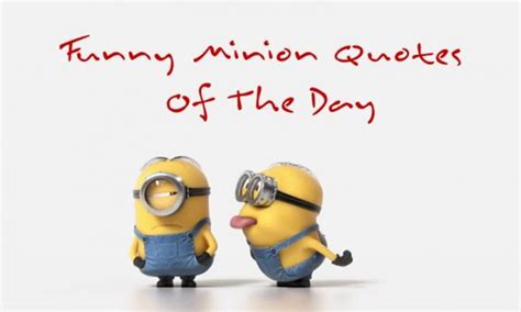 40 Funny Quotes Of The Day And Short Funny Sayings Daily Funny Quotes