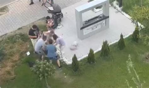 Питбул нападна малко куче на двойка с бебе в кв Овча купел