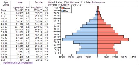 Population Pyramids Census 2020 Age Sex Gender Race Chart Graphics