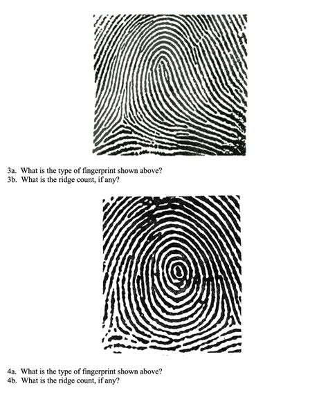 Solved 3a What Is The Type Of Fingerprint Shown Above 3b