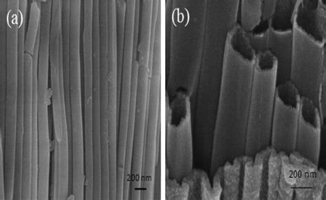 Post Magnetic Field Annealing Effect On Magnetic And Structural Properties Of Co80pt20 Nanowires