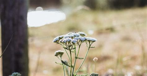 Comment Créer Une Api Pour Un Site Web Guide Complet Leadeusesduweb