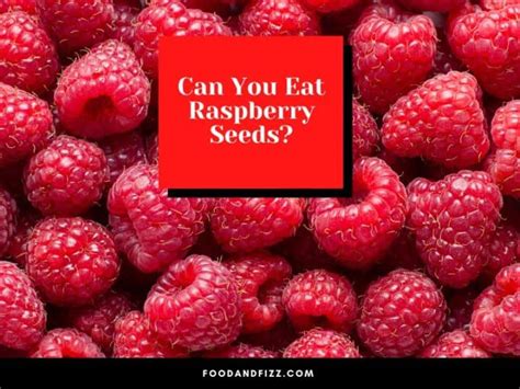 Can You Eat Raspberry Seeds The Honest Truth