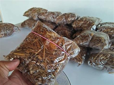 เชื้อเห็ดฟาง แบบอีแปะ ทำง่าย ๆ สถานีเห็ดพันธุ์ดี เพจหลัก