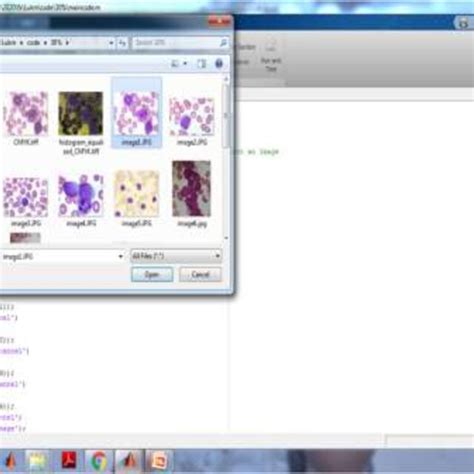Image Selection From The Dataset Download Scientific Diagram