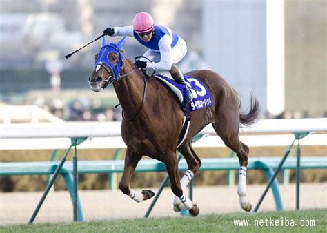 ダイワスカーレット Daiwa Scarlet 競走馬データ Netkeiba