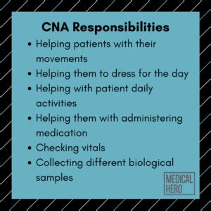All You Should Know About A Day In The Life Of A Cna Medical Hero