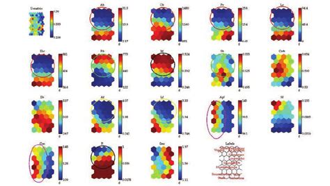 Som Visualization Through U Matrix Top Left And 17 Component Planes Download Scientific