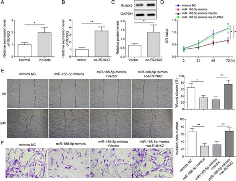 runx2 overexpression reverses the effectiveness of mir 188 5p