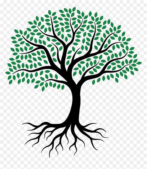 Tree Drawing Easy With Roots HD Png Download Vhv
