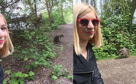 Stanley Park Un Havre De Paix Au Coeur De Vancouver Les Expériences