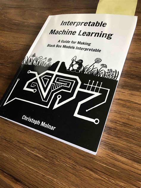 Interpretable Machine Learning