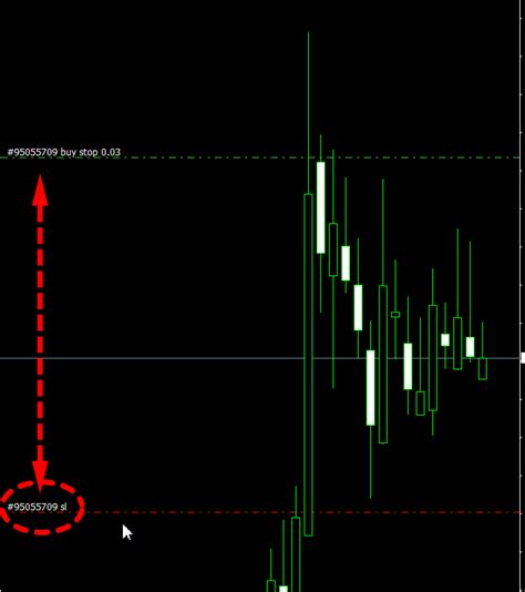 Workaround To Display The Order Ticket Id Number For Sl And Tp Level