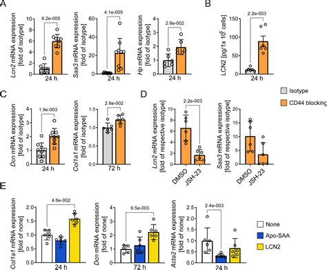 Smc Derived Hyaluronan Modulates Vascular Smc Phenotype In Murine Smc Derived Hyaluronan Modulates Vascular Smc Phenotype In Murine