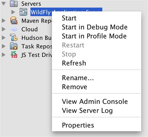 NetBeans And WildFly Tech Tip Miles To Go