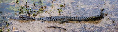 Ergon Inc On Twitter On June 27 2001 Ergon Purchased Mirror Lake Plaza MLP Home Of Our